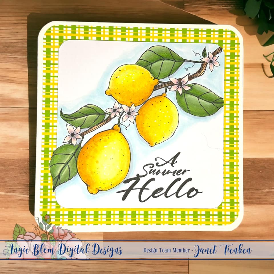 The Zest – Angie Blom Digital Designs